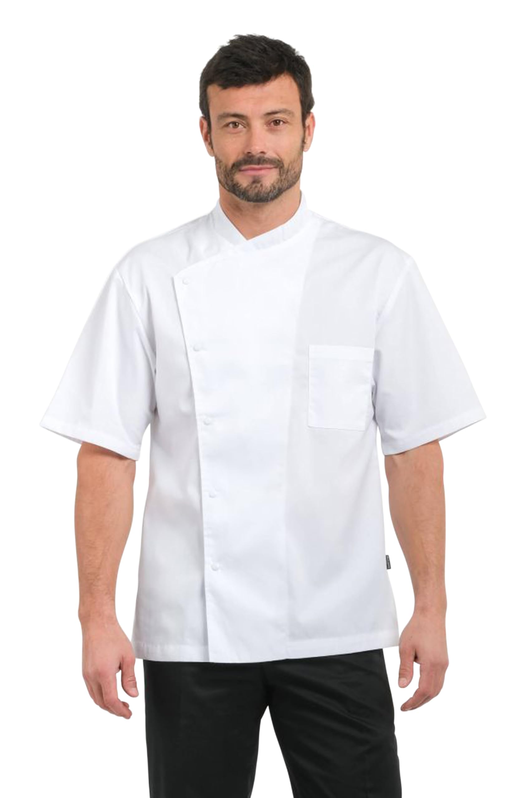 Mens Short Sleeve Julius Chef Jacket | Desertcart INDIA