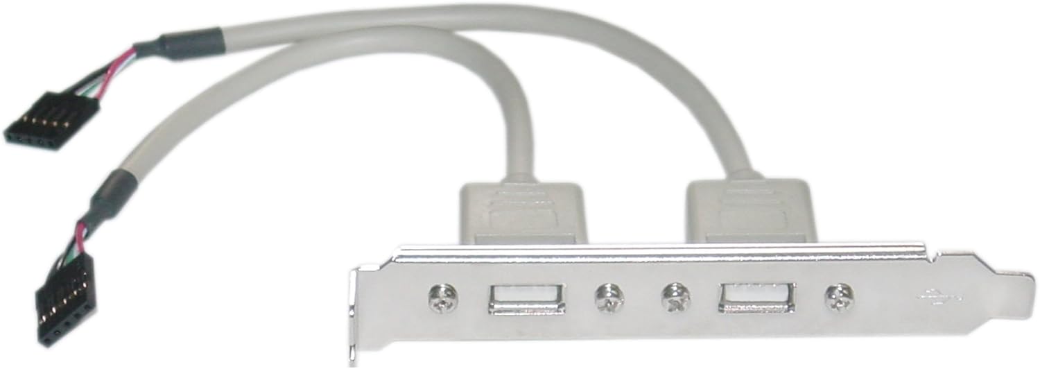 Amazon.com: USB PC Expansion Slot Cover, Dual USB Type A Female Ports ...