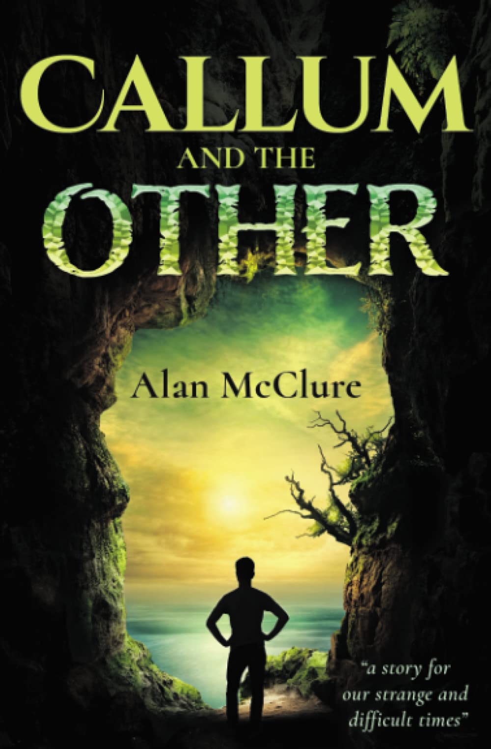 Amazon.com: Callum and The Other: 9781786455307: McClure, Alan: Books