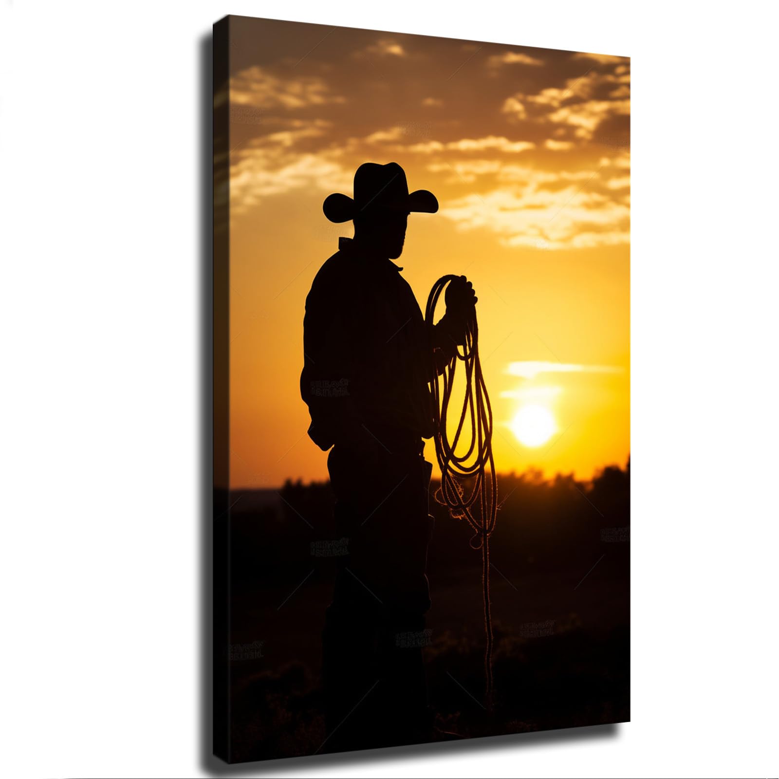 Cowboy Lasso Silhouette