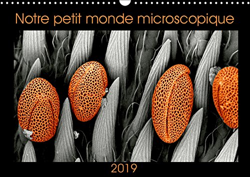 Notre petit monde microscopique (Calendrier mural 2019 DIN A3 ...