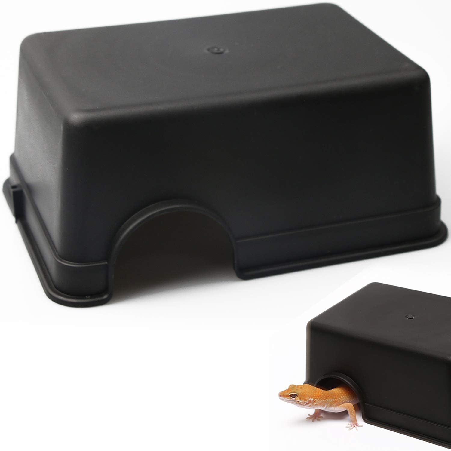 Amazon.com : Reptile Hide Box for Gecko & Snake - Feel Secure & Safe ...