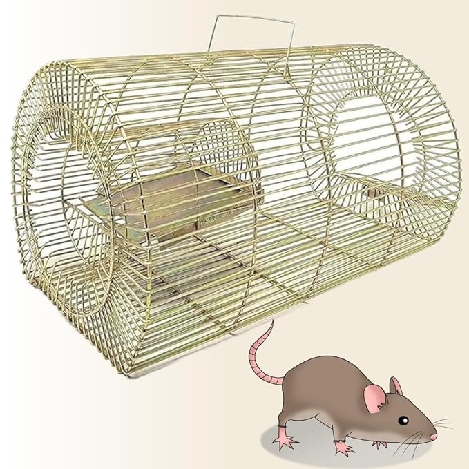 RATOPOLIS-Rat Trap Cage, Rodent Control, Pinjra for Rat, Mouse and Mice ...