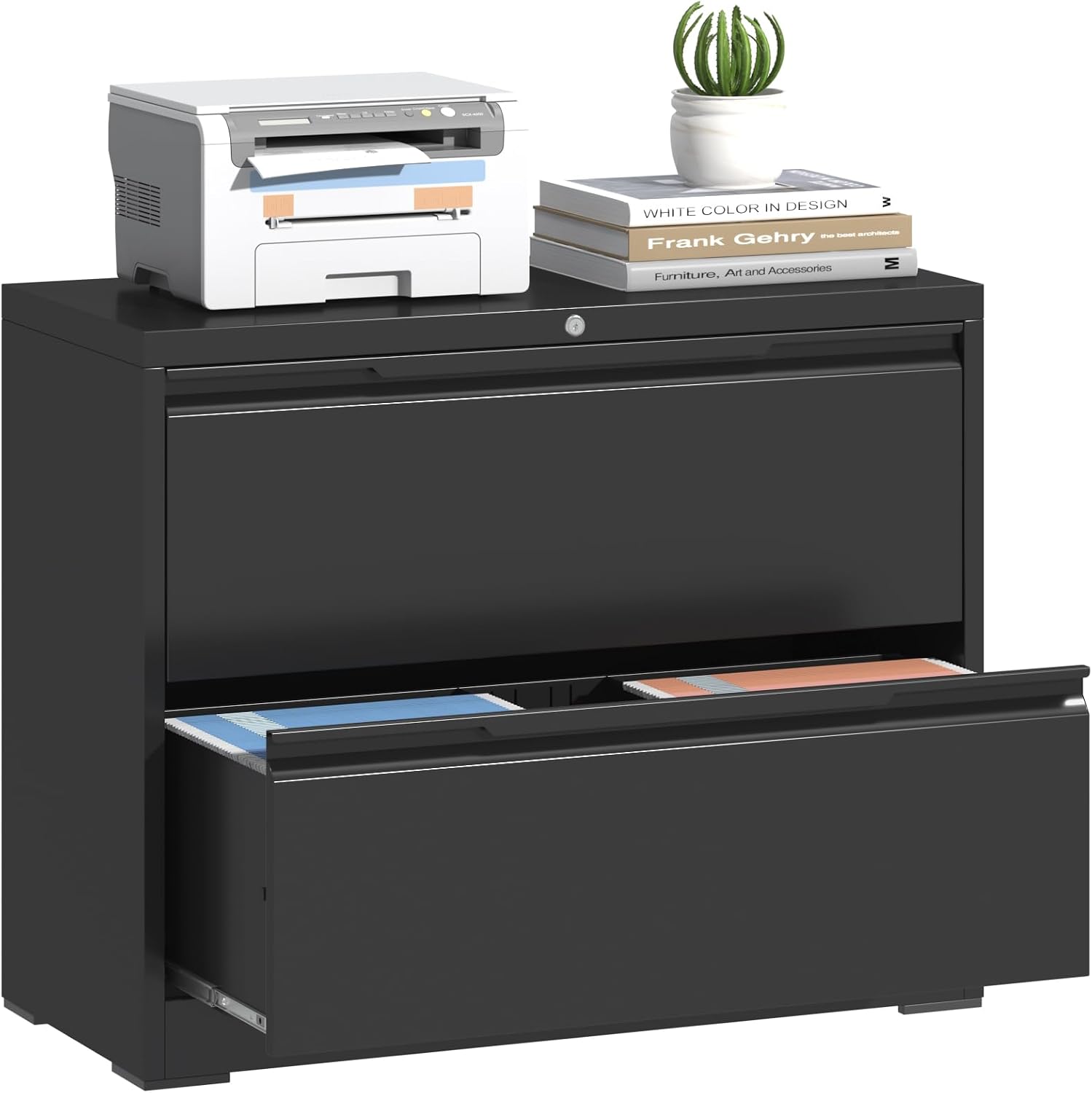 Amazon.com: Yoonkool Lateral File Cabinet 2 Drawer, Metal File Cabinet ...