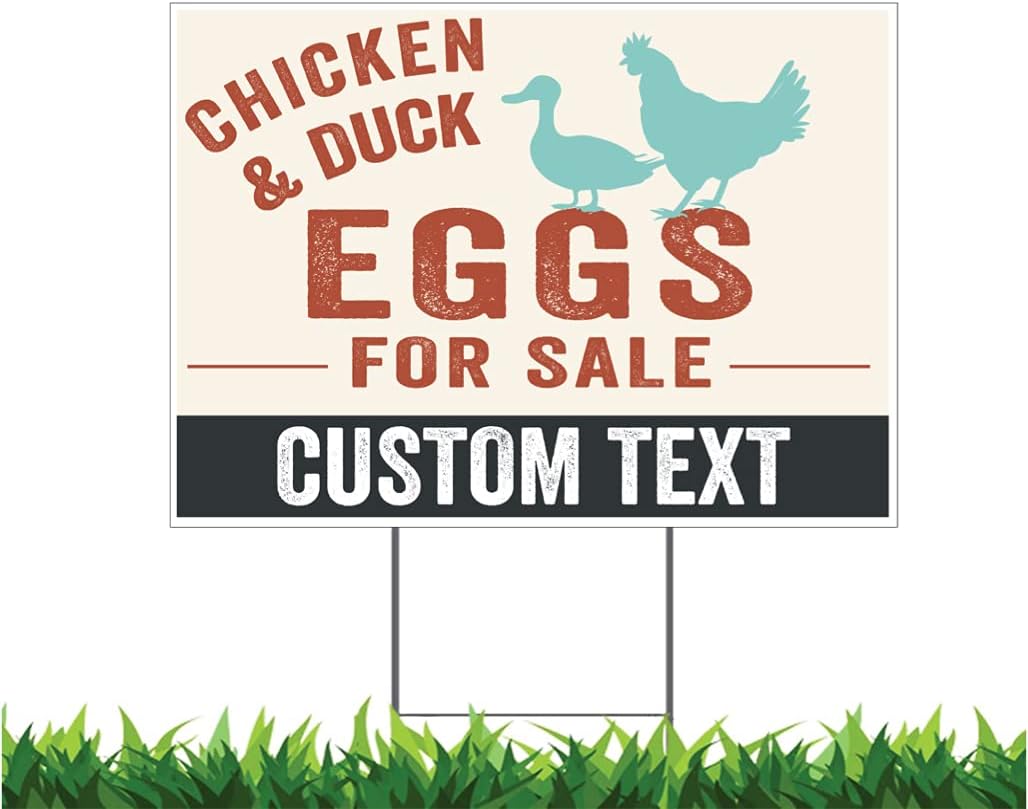 Amazon.com: Moonlight4225 Chicken Eggs and Duck Eggs, Farm Fresh ...