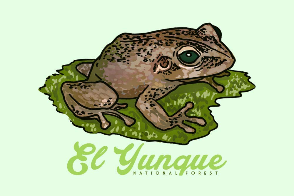 Printable Pictures El Coqui Puerto Rico