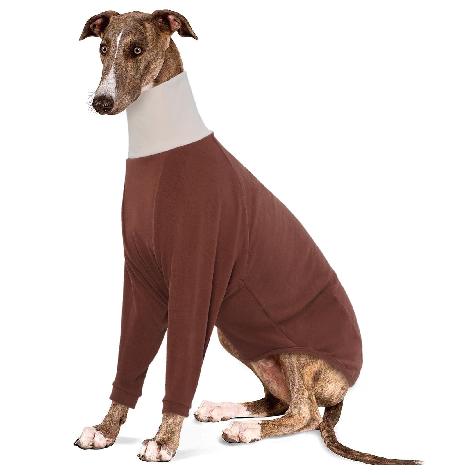 Amazon.com : IECOii Greyhound Sweater,Whippet Clothes with Long Sleeve ...
