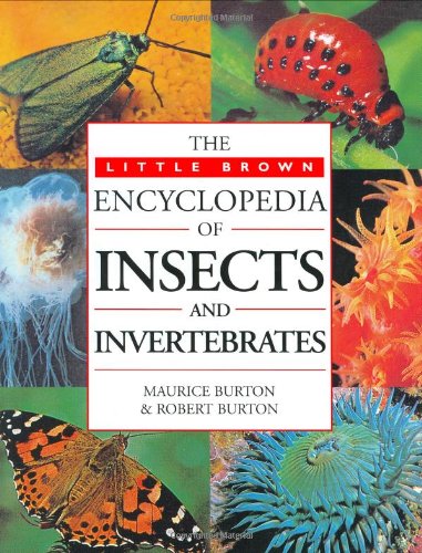 Little Brown Encyclopedia of Insects and Invertebrates: Maurice Burton ...