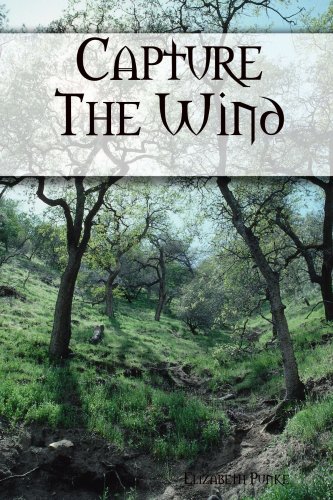 Capture the Wind: Elizabeth Punke: 9781435757455: Amazon.com: Books