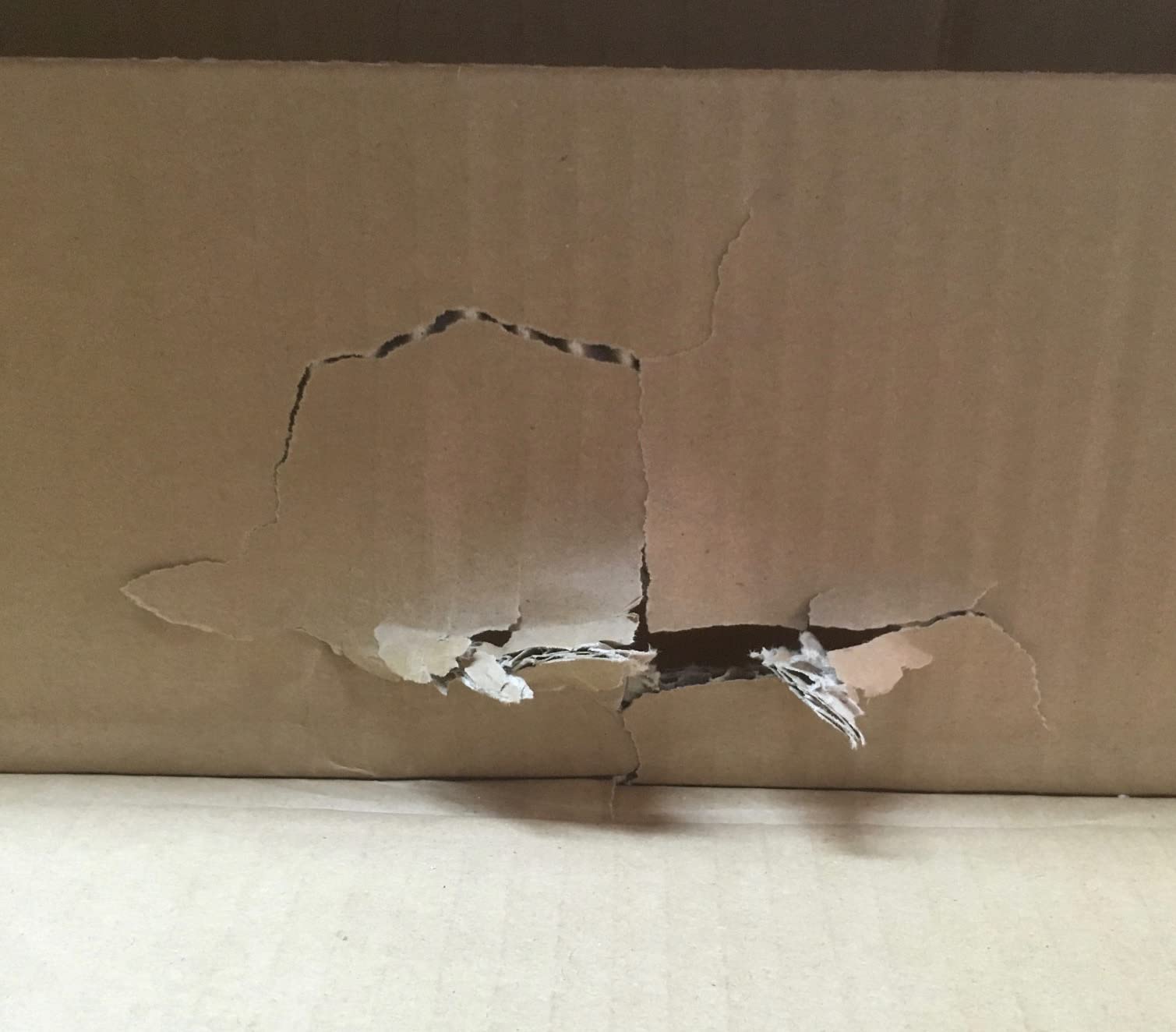 $33/mo - Finance Coolaroo Aurora Pergola, Backyard or Patio Shade ...