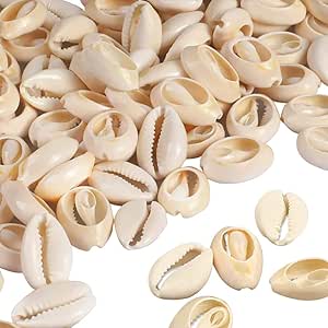 Amazon.com: ccHuDE 100 Pcs Natural Spiral Shell Beads Beach Seashells ...