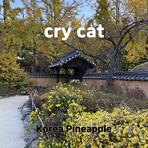 cry cat von Korea Pineapple auf Amazon Music Unlimited