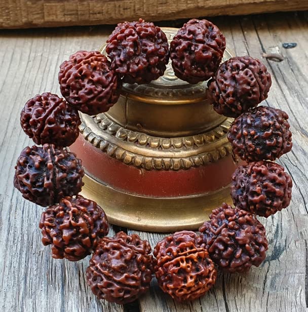 Galaxy Gems 5 Face Rudraksha Bracelet Original Certified Nepali Bead ...