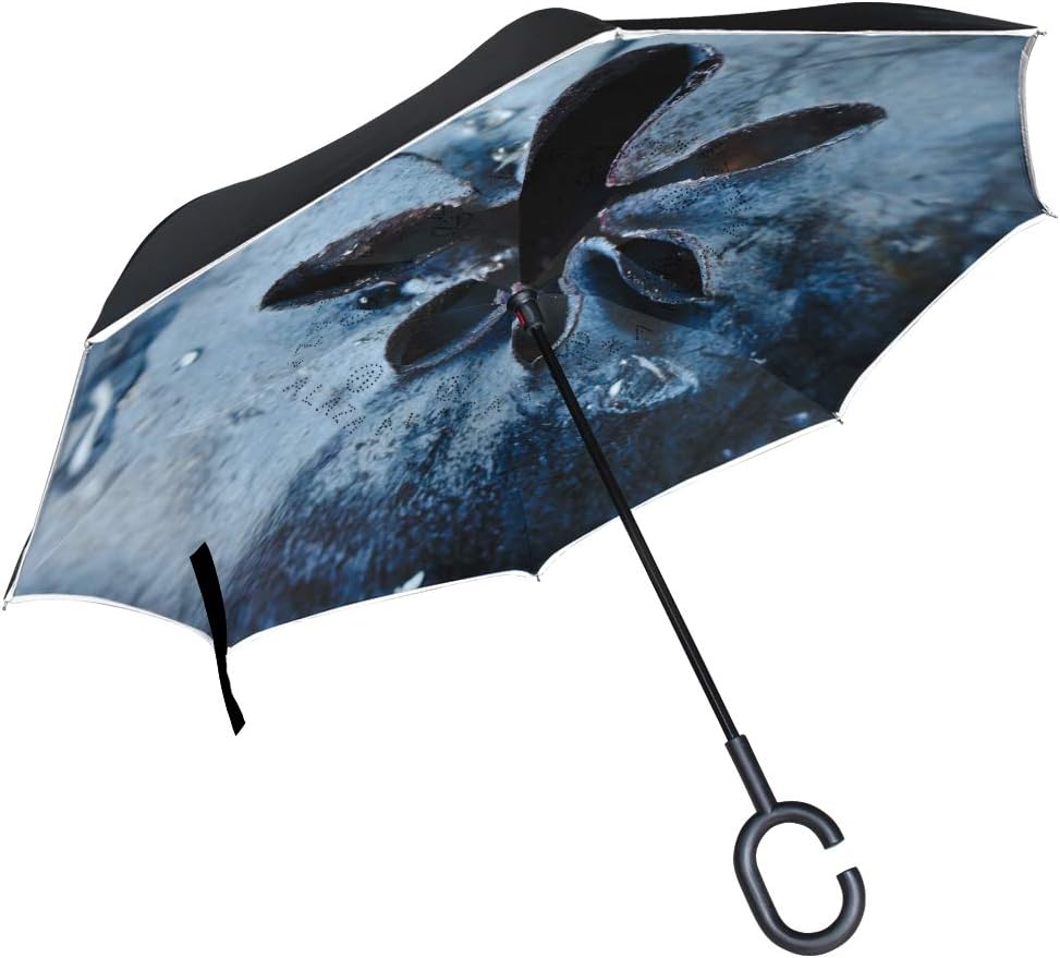 Amazon.com: Voovc Blueberry Double Layer Inverted Umbrellas Reverse ...