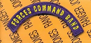 Amazon.com: USA Forces Command Band FORSCOM tab arc Patch