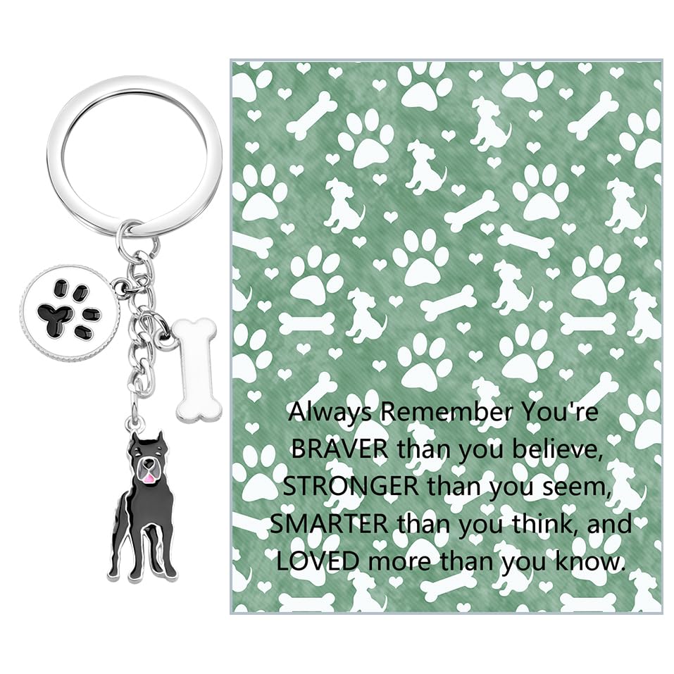 Cane Key Ring – The 16 best products compared - Alternative Families