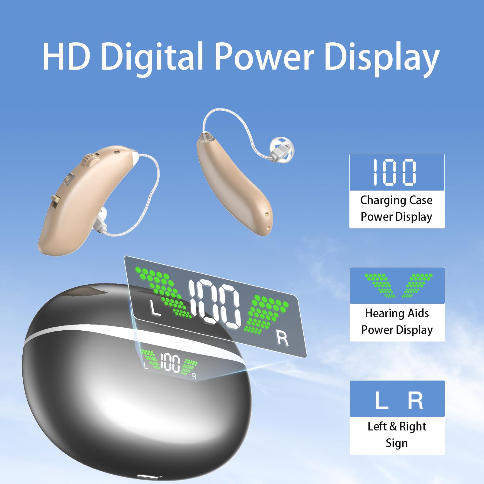 Hearing Aids for Seniors, 16 Channels Digital RIC Hearing Aids with ...