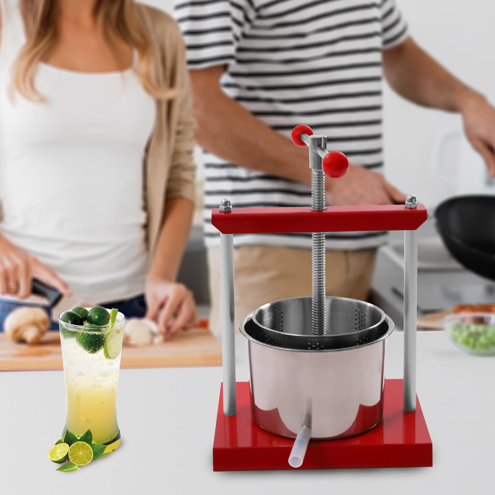 Fruit And Cheese Press 6L / 1.6 Gal Stainless Steel Manual Fruit Wine ...