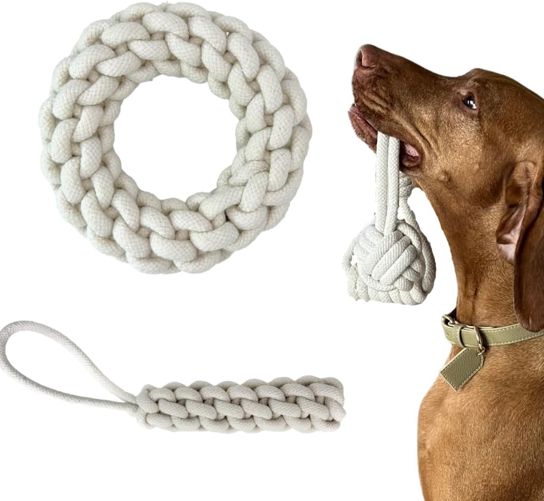 Petaureus Premium Hundespielzeug Große Hunde Set: Robustes ...
