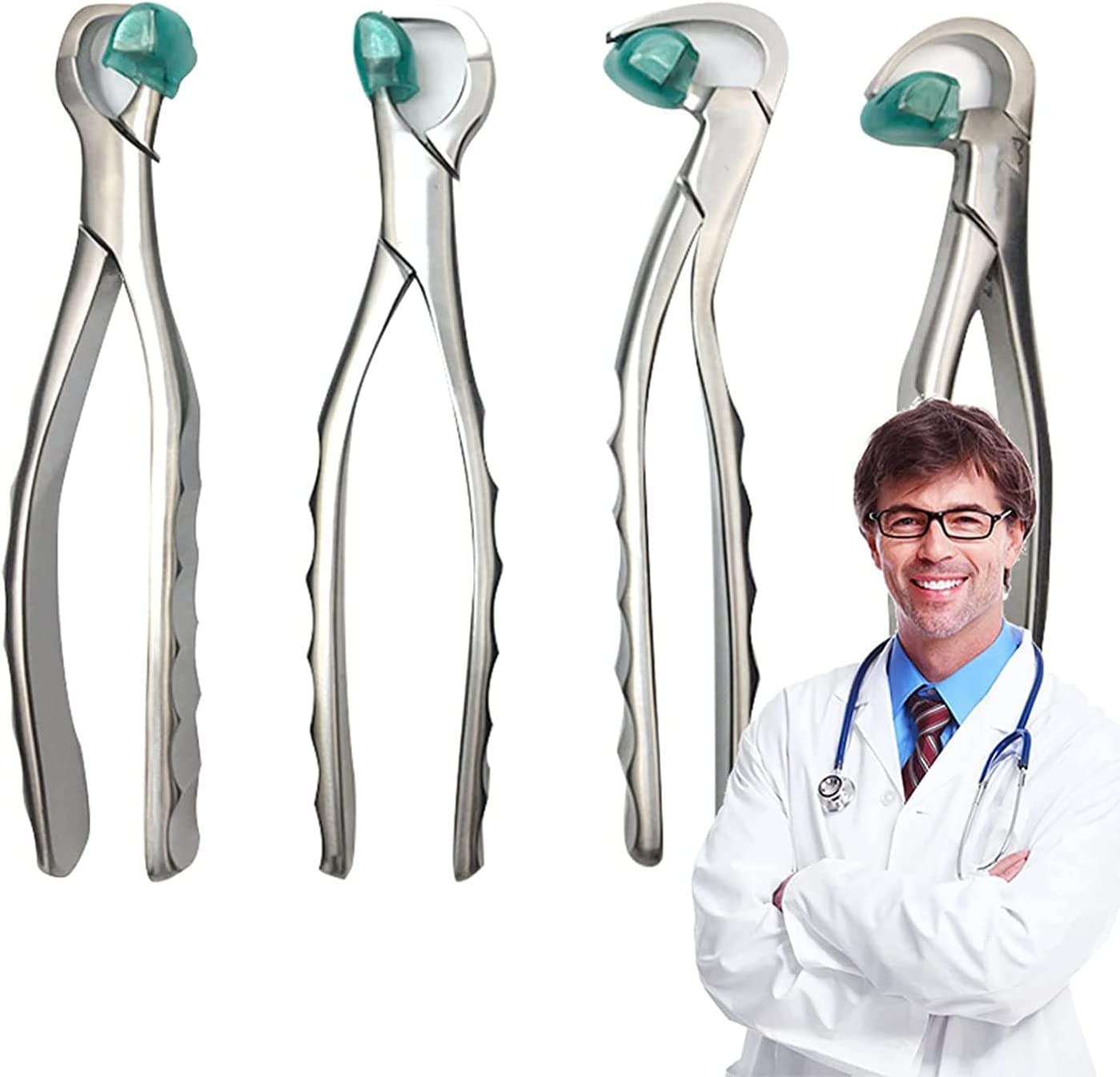 Buy PRABOS Basic Dental Extraction Forceps, Extracting Forceps Dental ...