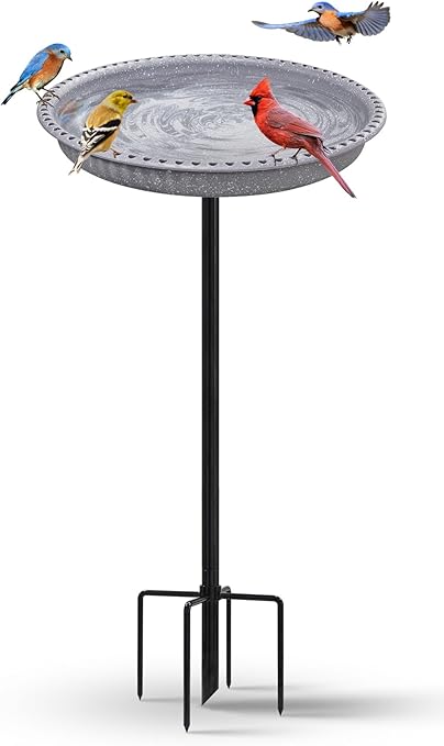 Amazon.com: BIRD WISH Bird Bath, Upgraded 5-Prong Heavy Duty Plastic ...