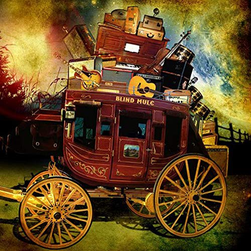 Play You Gotta Roll by Blind Mule on Amazon Music