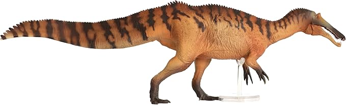 Amazon.com: WLNTDOLA 66 Sinopliosaurus Chongzuo Figure Spinosauridae ...