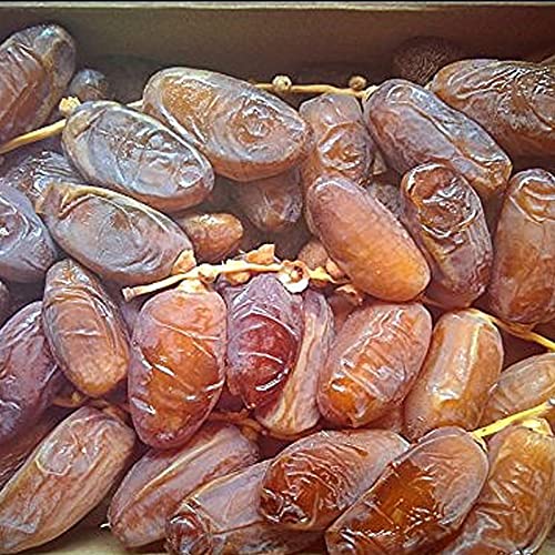Old Farm Deglet Nour Tunisian Dates 500G, Fresh : Amazon.in: Grocery ...