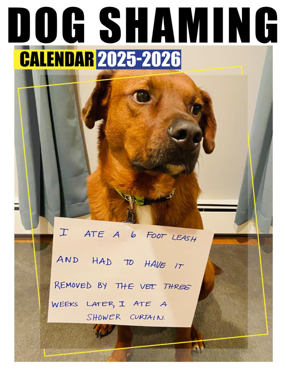 Dog Shaming I Has A Hotdog Dog Shaming Funny Dog Pictures | Dog