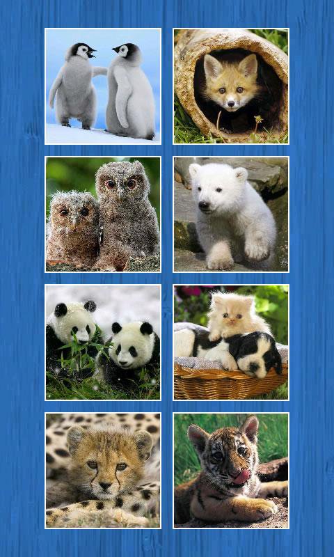 Animals Slide Puzzles:Amazon.com:Appstore for Android