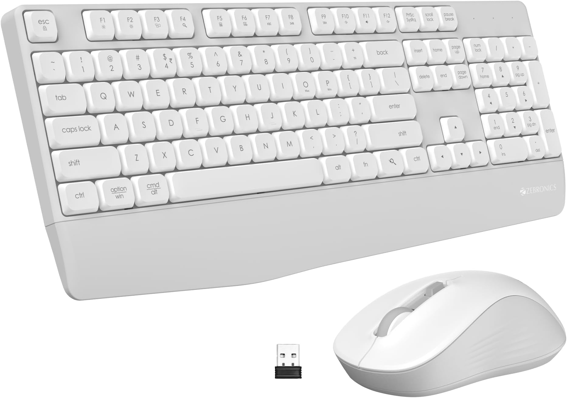 Amazon.in: Buy ZEBRONICS Companion 202 2.4GHz Wireless Keyboard & Mouse ...