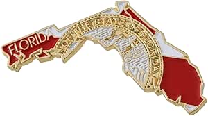 Amazon.com: State Shape of Florida with Florida Flag Lapel Pin (10 Pins ...