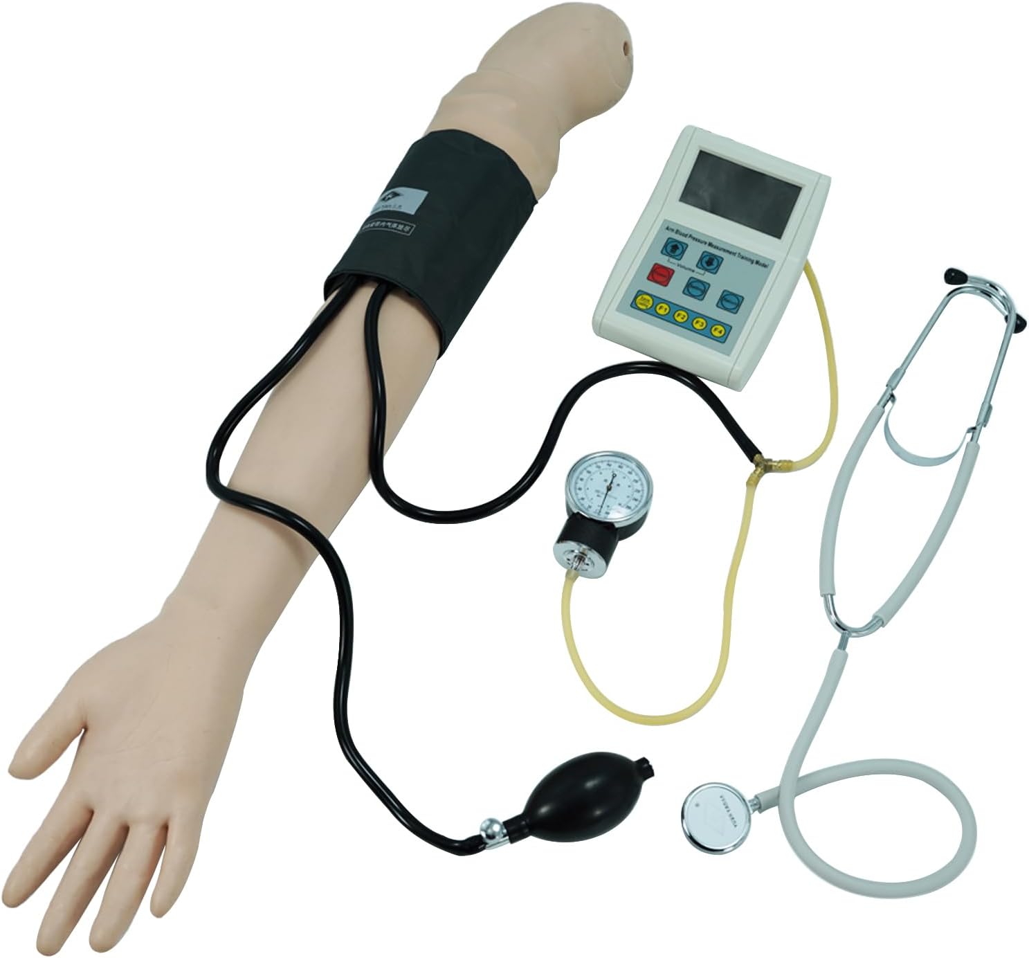 Blood Pressure Training Arm Simulator, BP Training Arm Manikin Practice ...