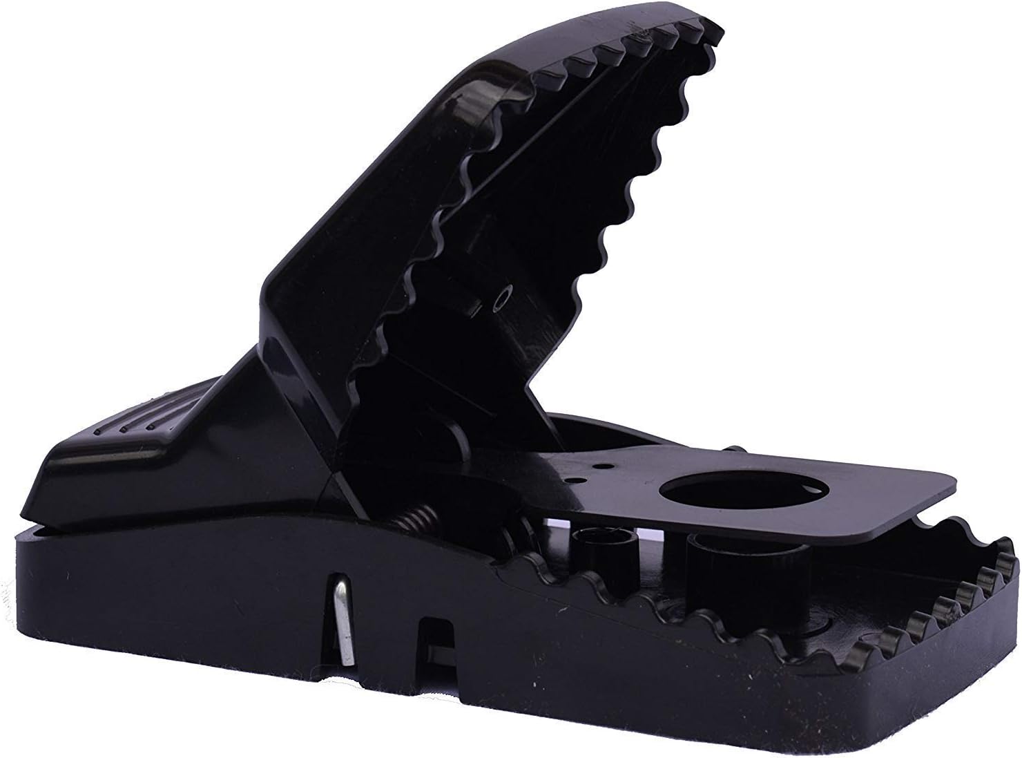 Amazon.com : Rat Snap Traps by Eco Pro Pest Control | 6-Pack Snapping ...