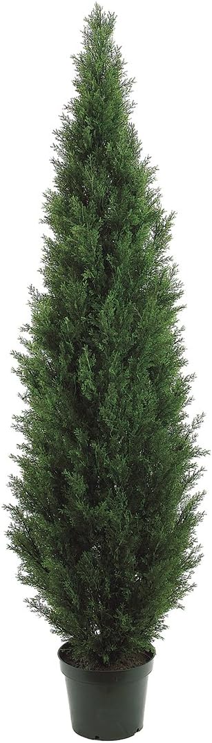 Amazon.com - Allstate Floral Plastic Artificial Plants 7 Foot Tall ...