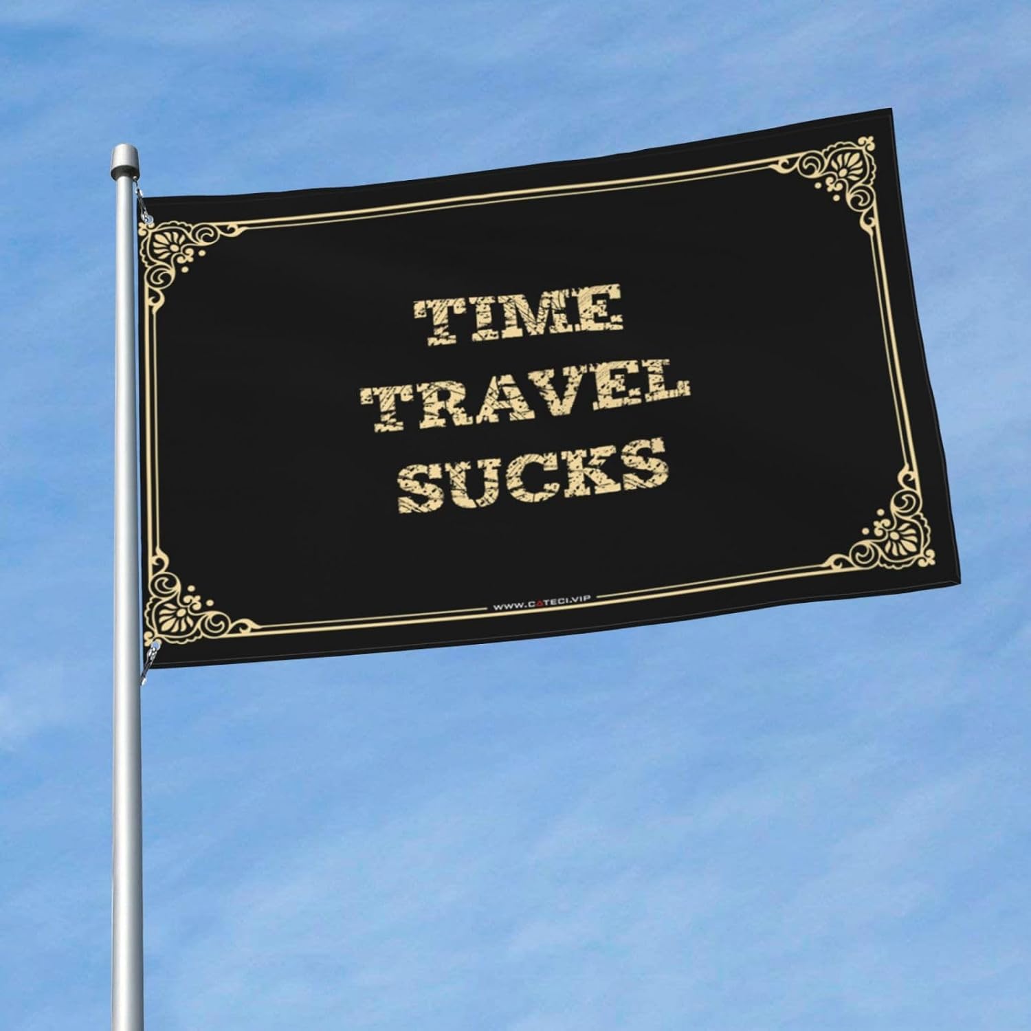 Amazon.com : Funny Posters For College Dorm Time Travel Sucks Flag ...
