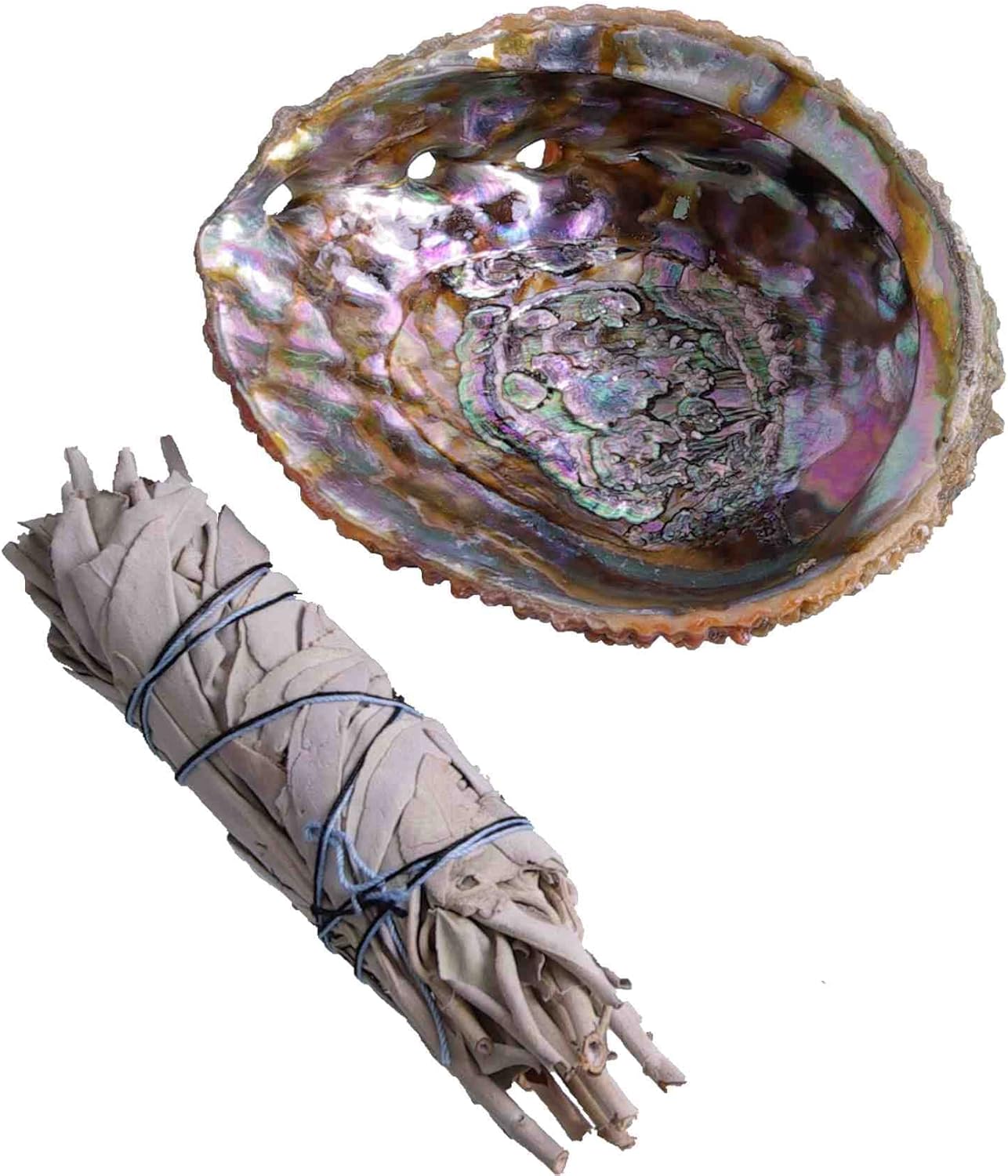 Native Spirit Ensemble: Baton Purificateur Sauge Blanche Moyen et ...