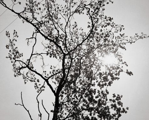 Amazon | James Welling: Photographs 1974-1999 | Rogers-Lafferty, Sarah ...