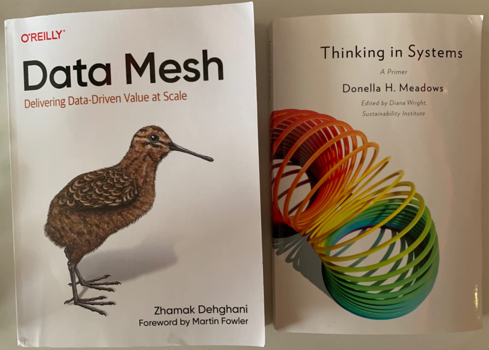 Data Mesh: Delivering Data-Driven Value at Scale: Dehghani, Zhamak: 9781492092391: Amazon.com: Books
