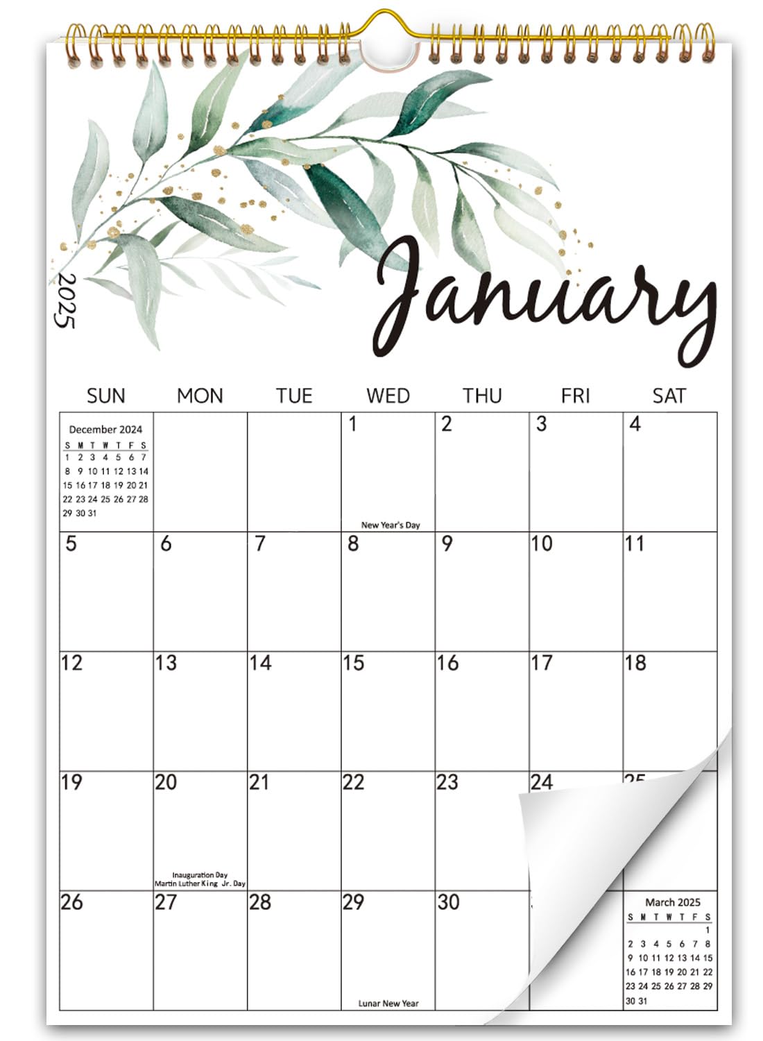 Snapklik.com : 2024-2025 Calendar - Wall Calendar From Now To June 2025 ...