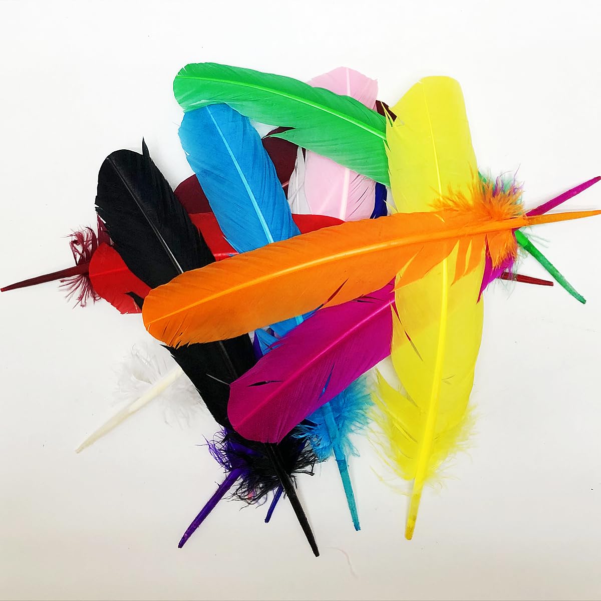 Coloring Turkey Feathers How To Draw A Turkey Arty Crafty Kids