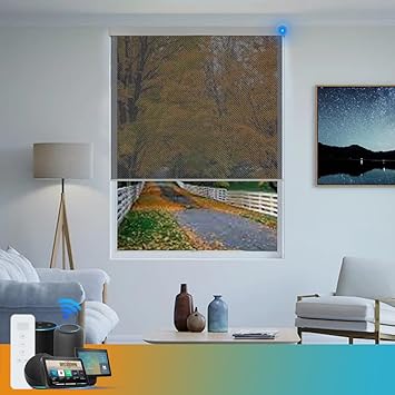 Amazon.com: Blindify Motorized Solar Blinds with Remote Smart Light ...