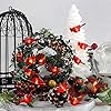Amazon.com : Impress Life Christmas Cardinal Decorative String Lights ...
