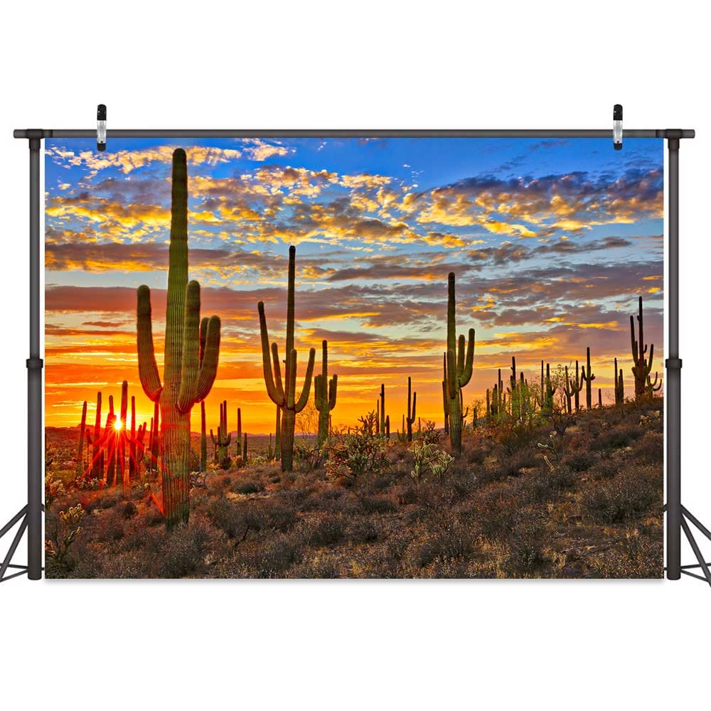 Amazon.com : 15x10ft Desert Scenery Backdrop Cactus Photography ...