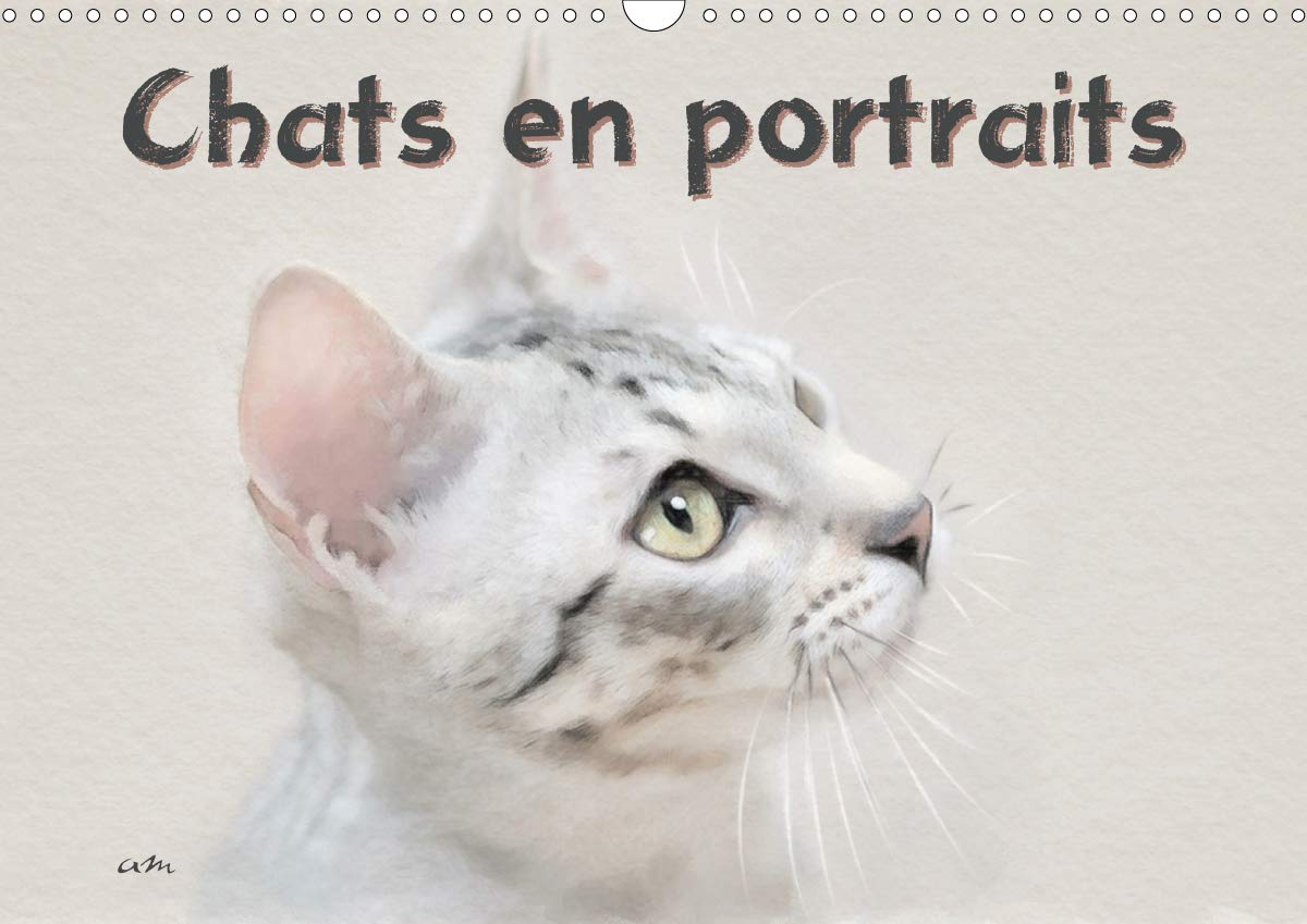 Chats En Portraits 2020 Serie De 12 Creations Originales Venant ...