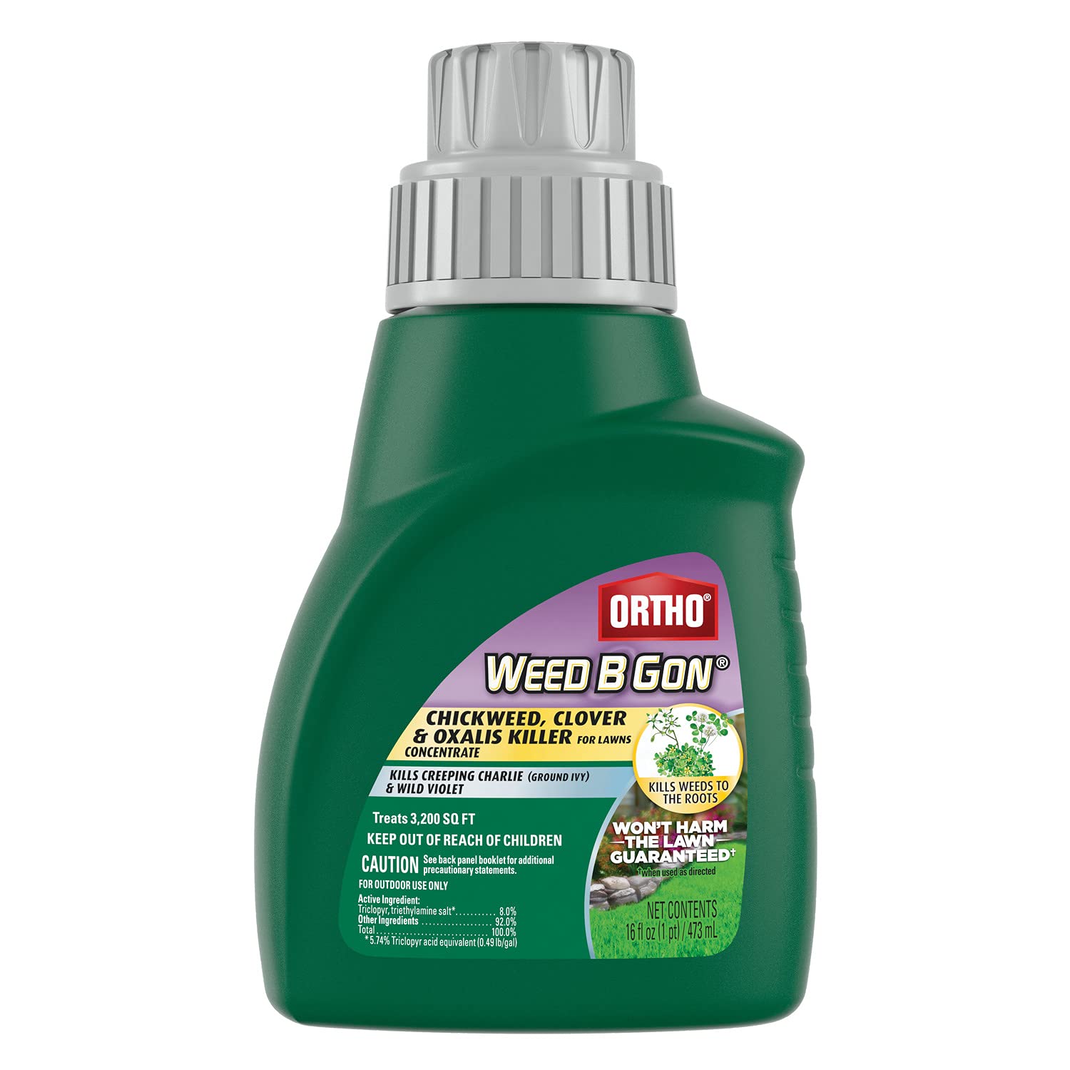 Amazon.com : Ortho Weed B Gon Chickweed, Clover and Oxalis Killer for ...