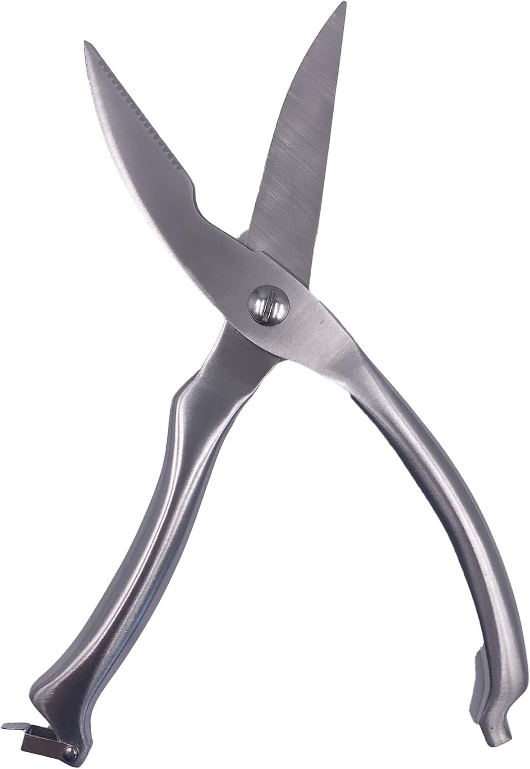 Professional Butchery Scissors. Stainless Steel Kitchen Scissors with ...