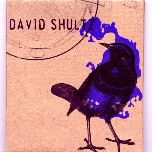Amazon.com: S/T : David Shultz: Digital Music