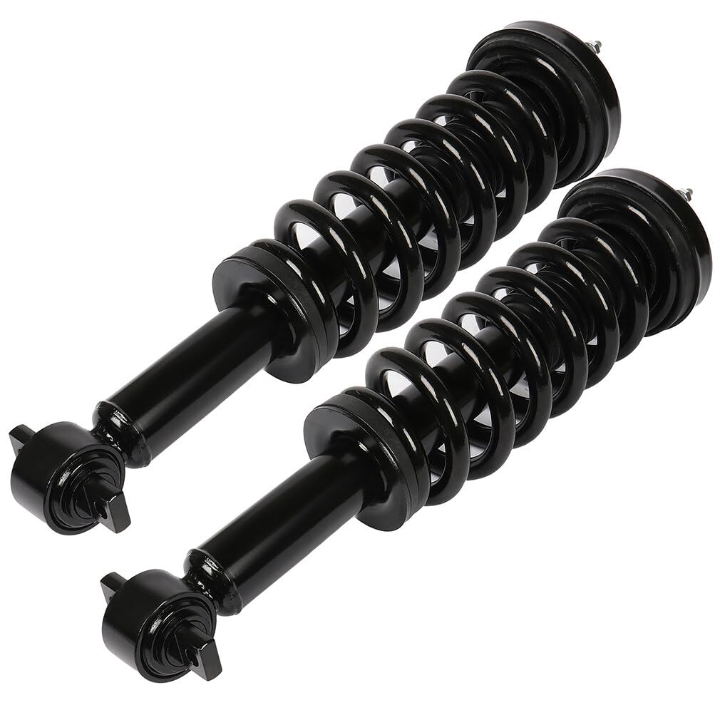 Amazon.com: ASTOU Front Strut & Coil Spring Assembly Fit ford F-150 ...