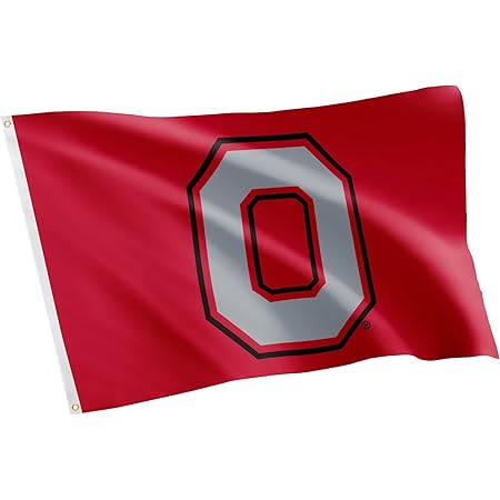 Amazon.com : Desert Cactus Ohio State University Flag Buckeyes OSU ...